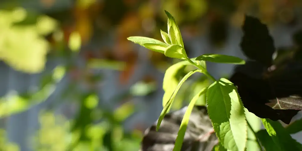 Hållbarhet och miljö | Soltech Home